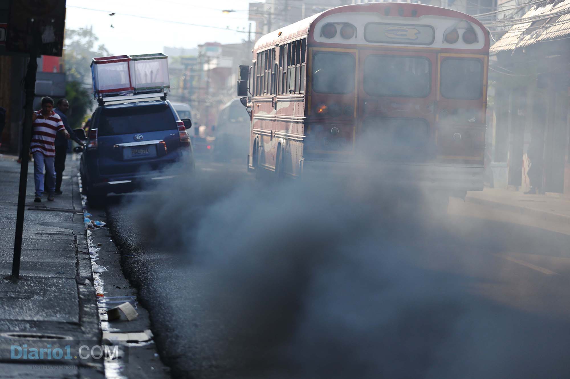 Ministra Pohl asegura que buses y microbuses generan el 50% de la ...