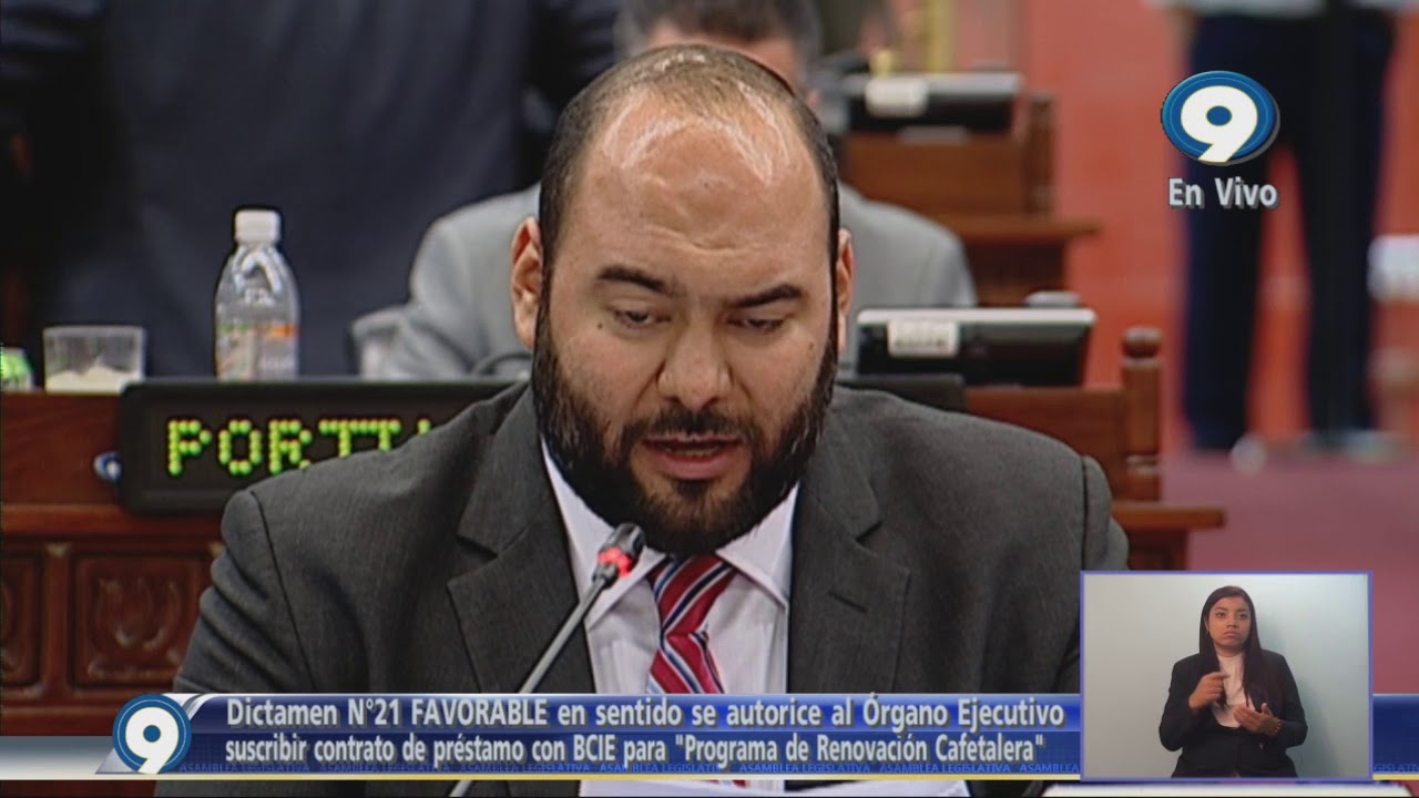 Diputado suplente de ARENA interpone demanda contra cuarentena para ...