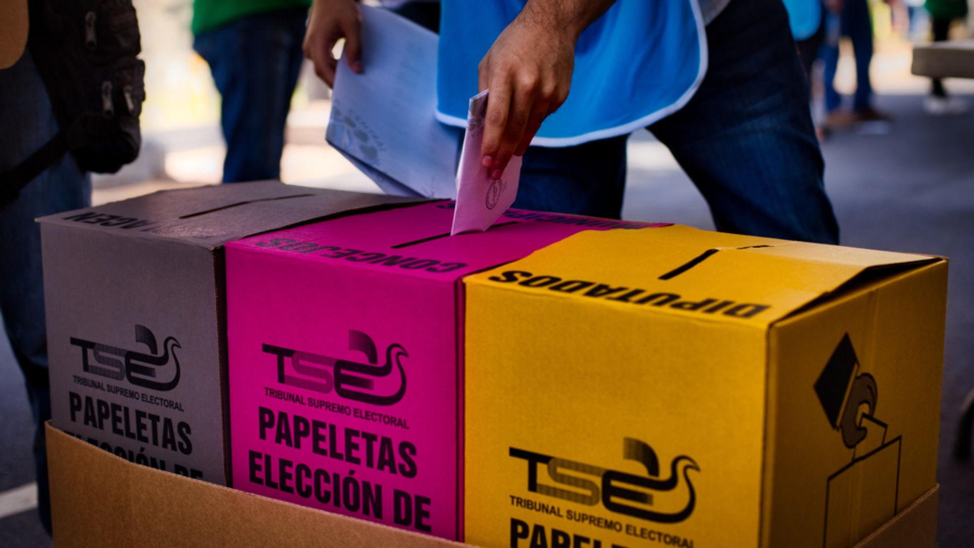 Estas son las formas para votar en las próximas elecciones